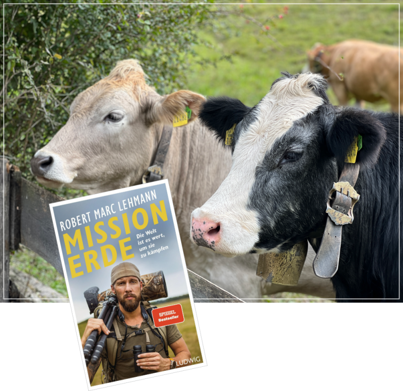 |Leseliebe| "Mission Erde" von Robert Marc Lehmann - glimrende